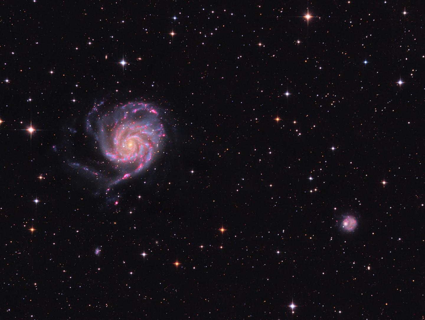 Teleskop-Express: TS-Optics GSO Photon 6" F4 Advanced Newtonian ...